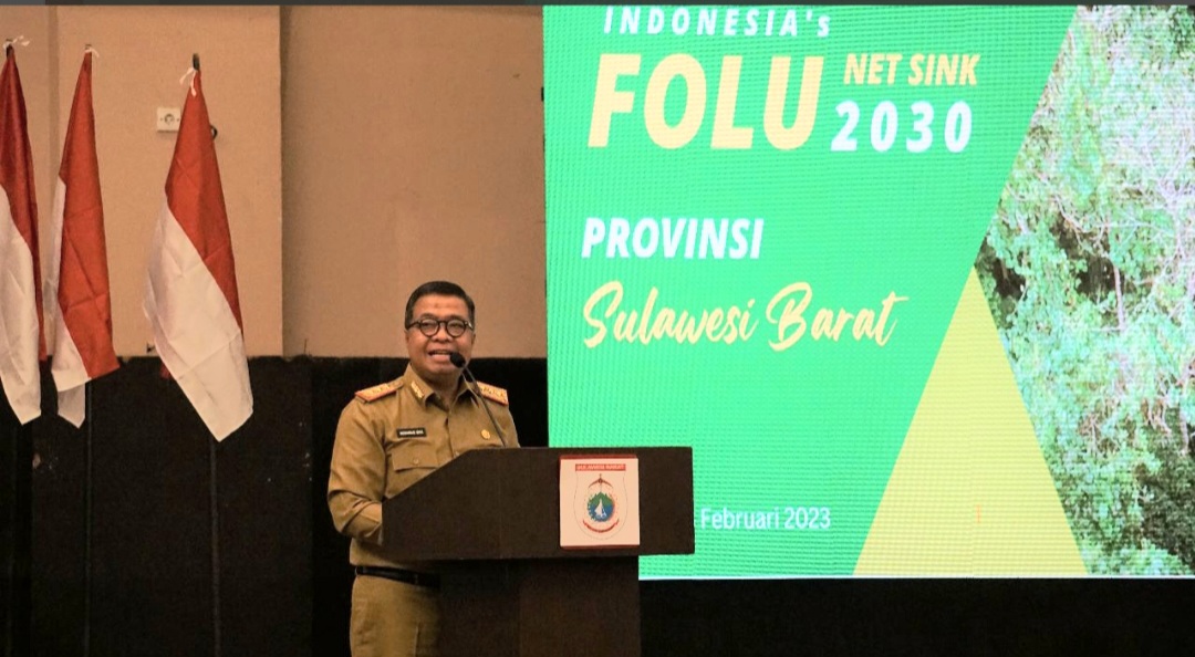 Indonesia’s FOLU Net Sink 2030: Langkah Nyata Keseriusan Indonesia ...