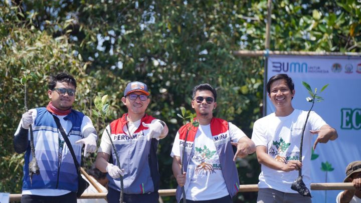 Melalui Integrated Terminal Makassar, Pertamina Patra Niaga Sulawesi Tanam Mangrove di Parangloe ...